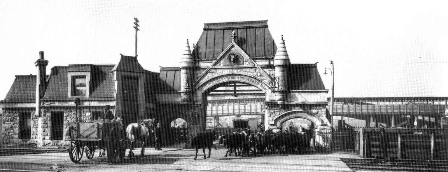 Episode 15: The Stockyards - Windy City Historians